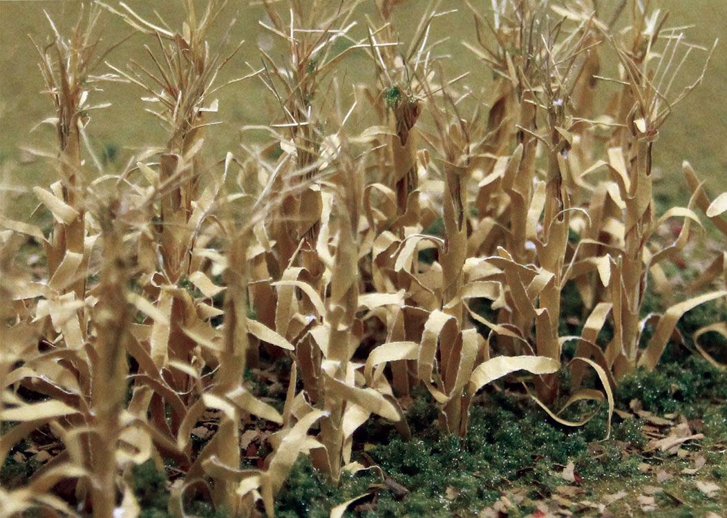 JTT Miniature HO Dried Corn Stalks 30pcs. – Modèle B.T.